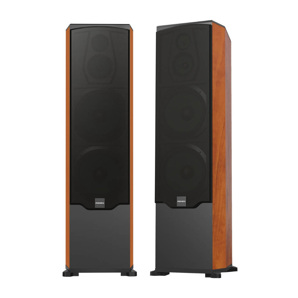 Loa Paramax F-2500 Karaoke - Điện máy Phúc Ngọc Anh